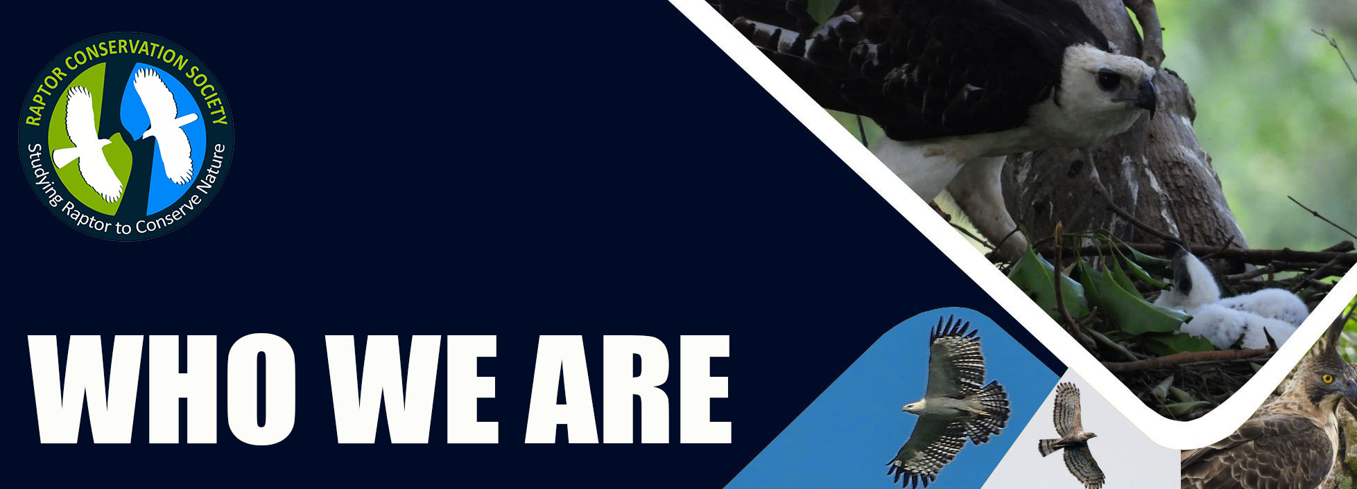 WHO WE ARE | RAPTOR CONSERVATION SOCIETY